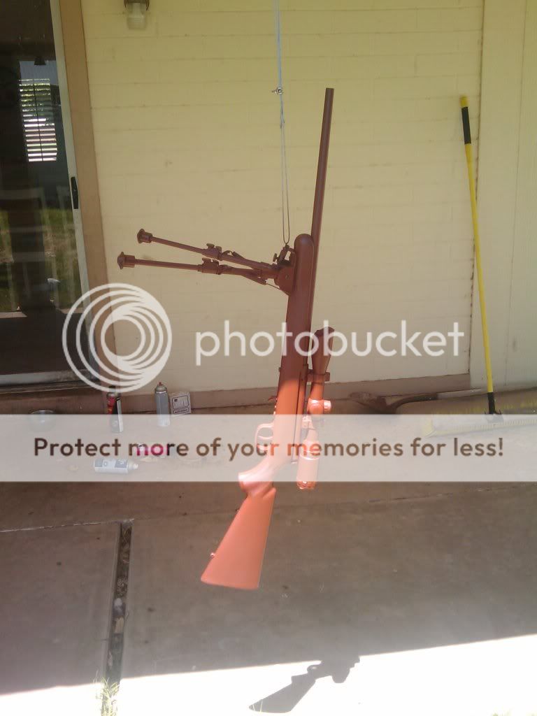 My first time painting a stock - what do you think? > General Firearm ...