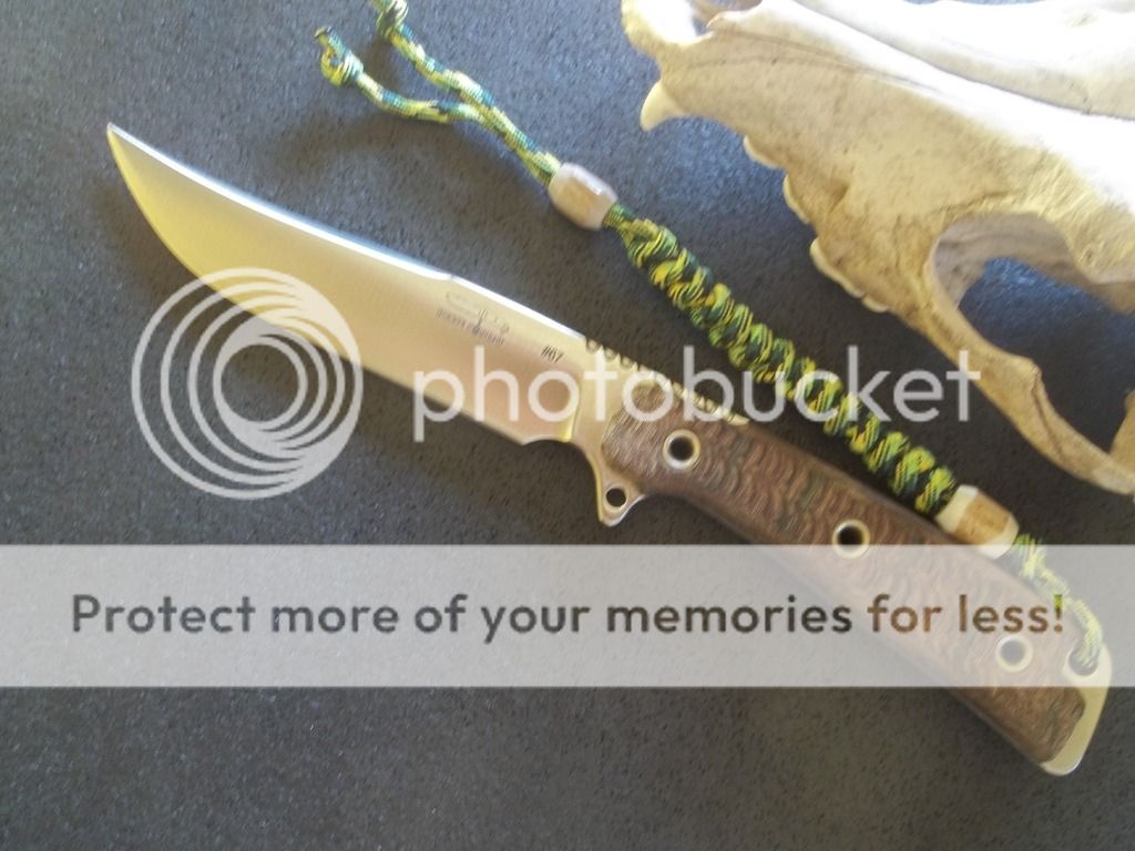 Busse HG55 LE | BladeForums.com