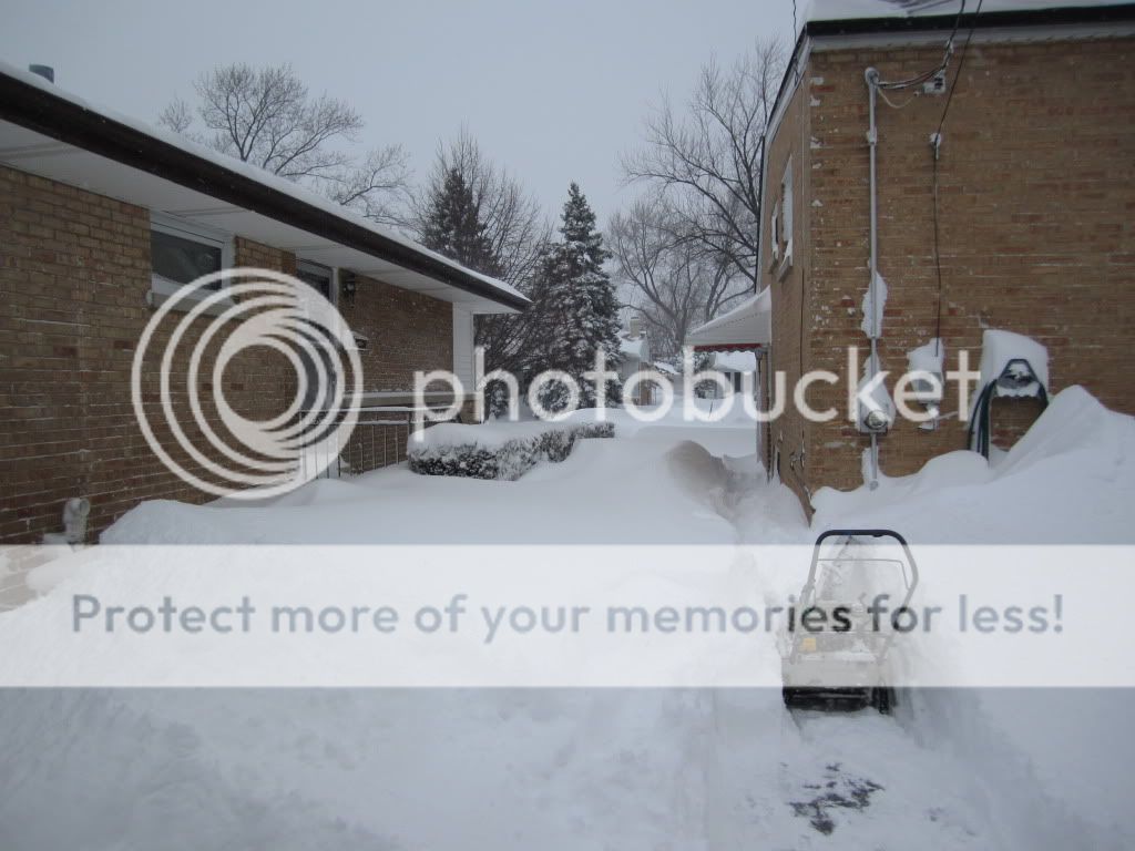 how are all the chi-town discus keepers doing? - SimplyDiscus