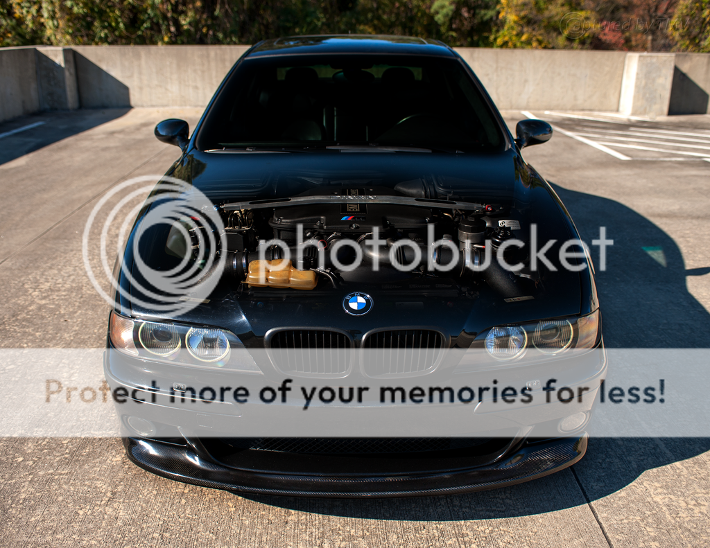 Sharing some pics, shooting for M5Board Calendar | BimmerFest BMW Forum