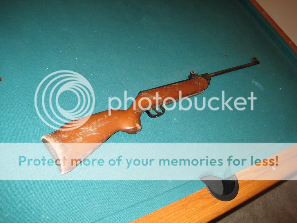 Beeman Falcon II | Rimfire Central Firearm Forum