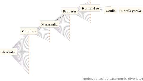 Acquisition of new Genetic Material through Evolution (and education ...